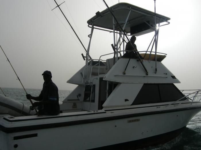 bateau pèche promenade