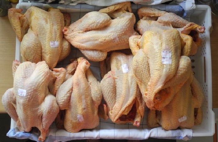 vente poulets de chair